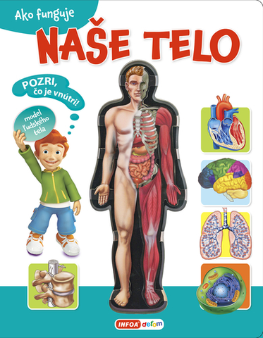 Ako funguje naše telo Ľudské telo - tosumo.sk